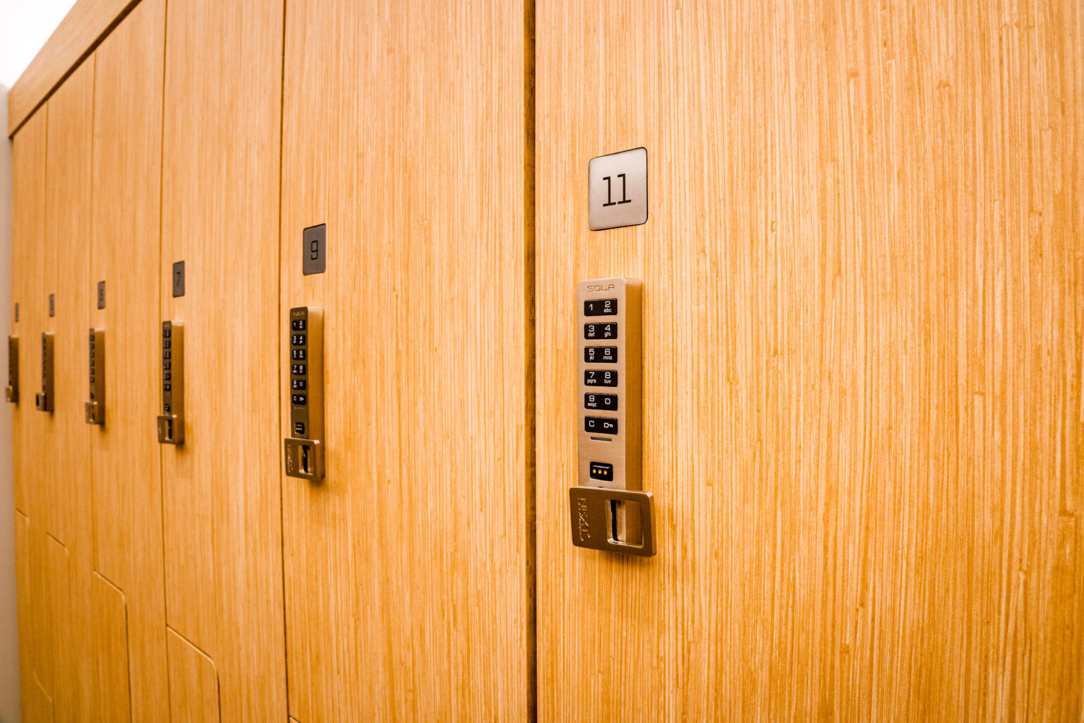 Locker Locks – Grid